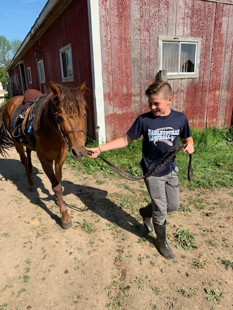 Home - Freedom Acres Farm