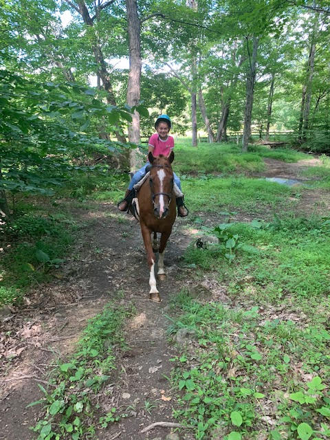 Home - Freedom Acres Farm